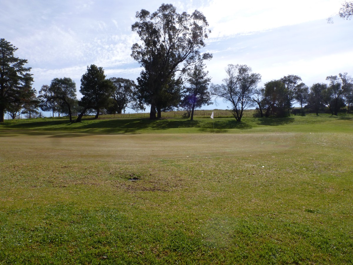 Junee Golf Club – Everybody welcome